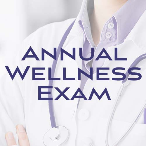 Annual Wellness Exam | Zero Gravity Aesthetics and Wellness